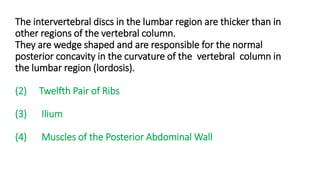 10-Posterior Abdominal Wall.pptx