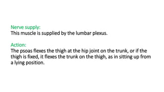 10-Posterior Abdominal Wall.pptx