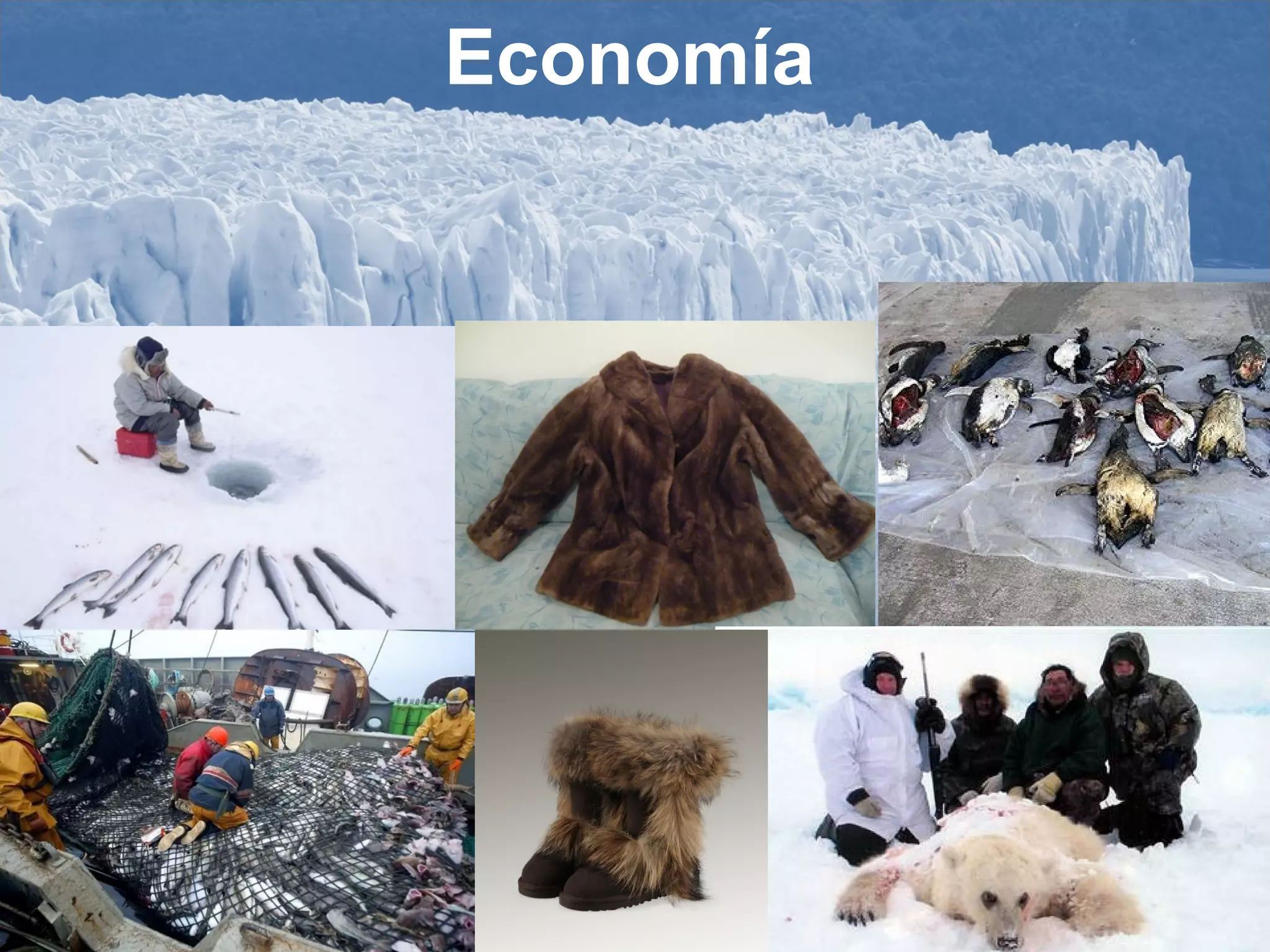 10 regiones naturales (zonas polares)