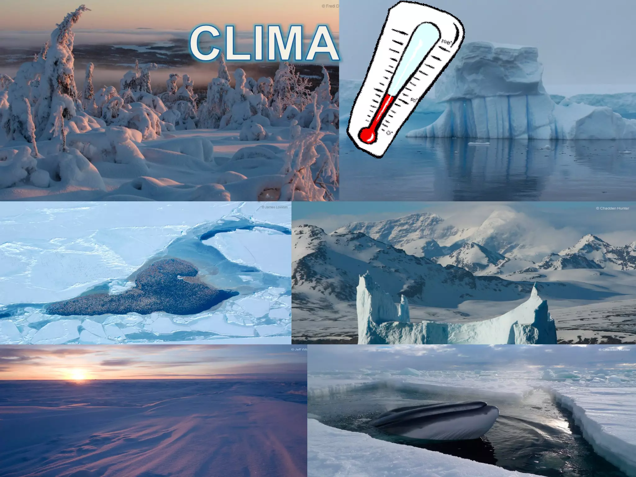 10 regiones naturales (zonas polares)