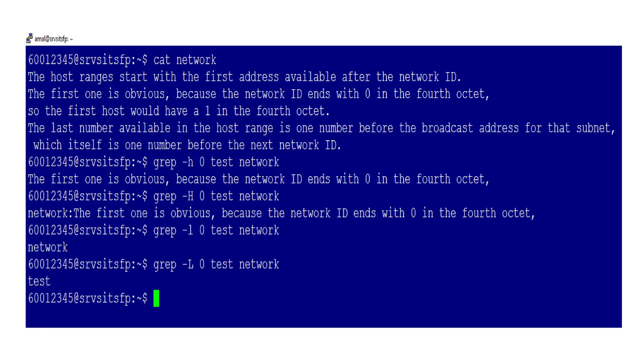 10 - Regular ExpressionsRegular Expressions.pptx