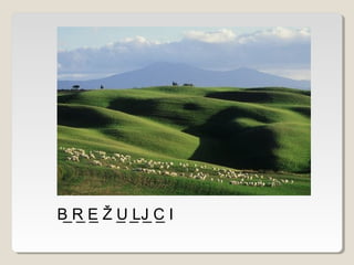 10 reljef zemlje | PPT