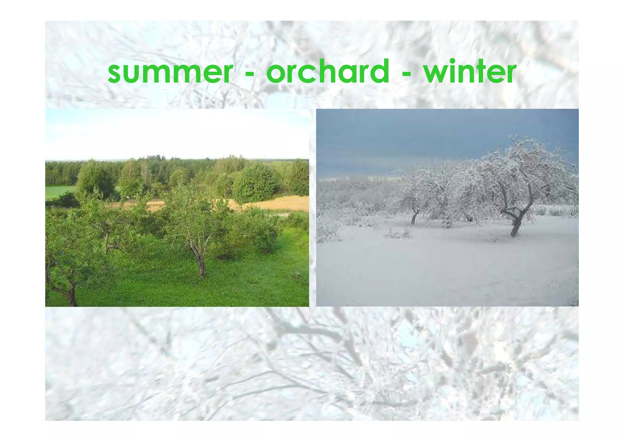 10 Saksala Art Radius Art And Culture | PPT