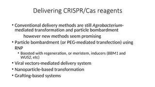 new breeding techniques presentation.ppt