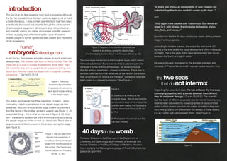 Islam and Science pamphlet | PDF | Islam | Religion & Spirituality