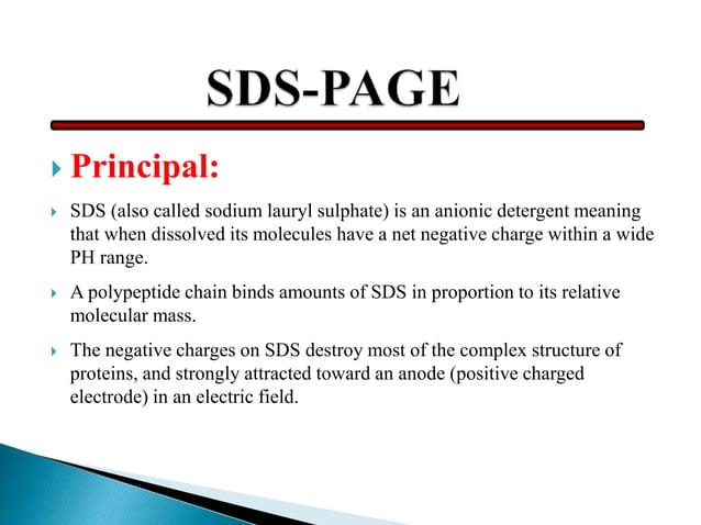 SDS PAGE (Sodium dodecyl Sulfate detergent).pptx