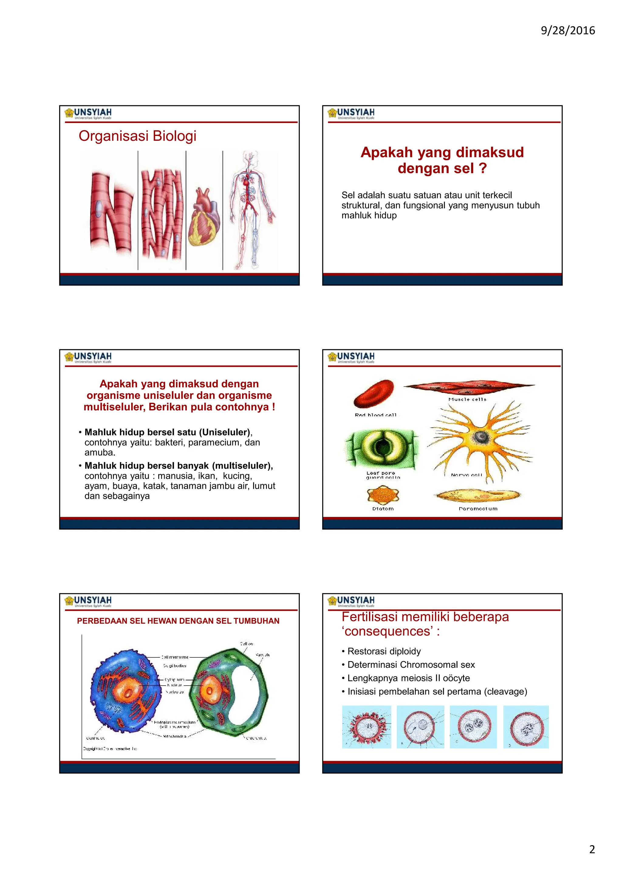 Materi 10-STRUKTUR-PERKEMBANGAN_Hewan.pdf