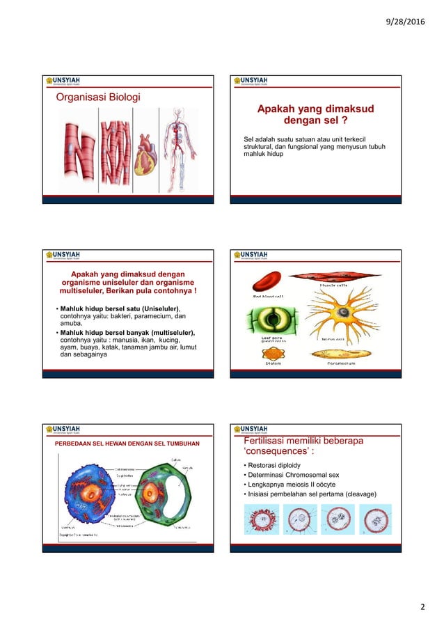 Materi 10-STRUKTUR-PERKEMBANGAN_Hewan.pdf