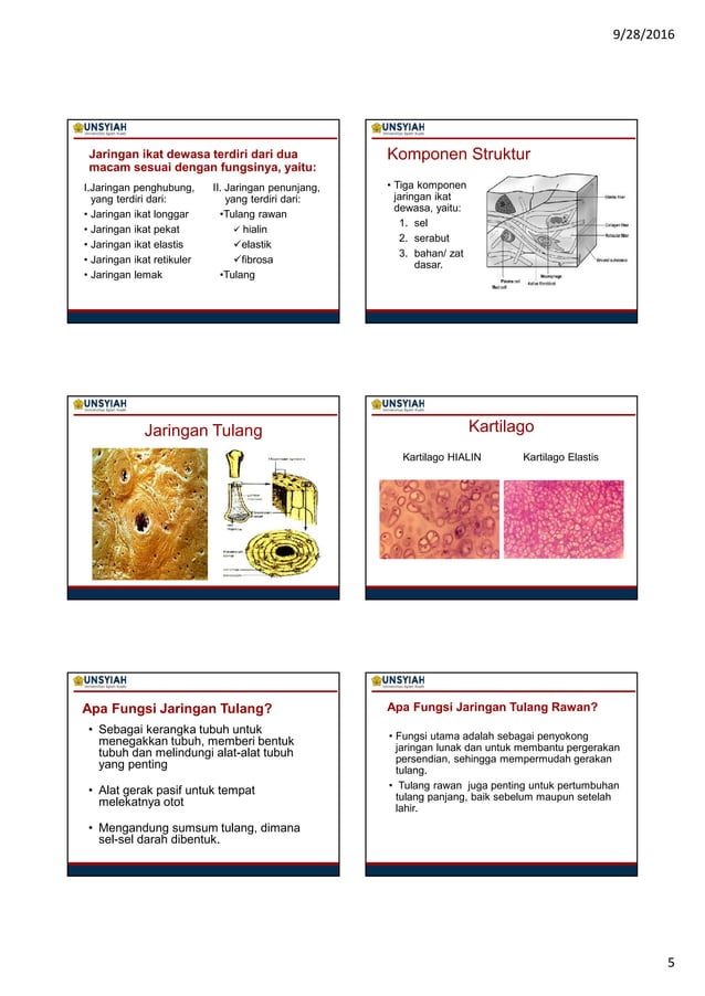 Materi 10-STRUKTUR-PERKEMBANGAN_Hewan.pdf