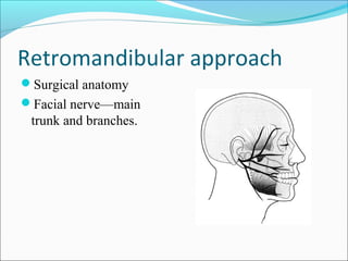 surgical approaches to the mandibular condyle | PPT