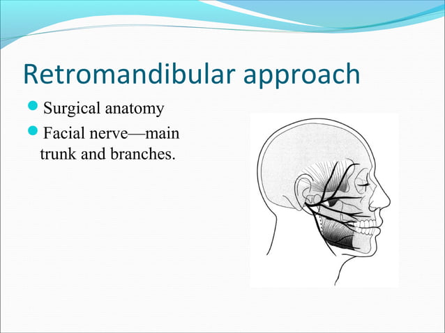 surgical approaches to the mandibular condyle | PPT