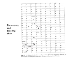 Estrous Signs & Methods of Detection.ppt