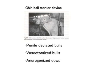 Estrous Signs & Methods of Detection.ppt