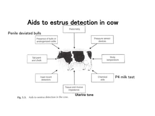 Estrous Signs & Methods of Detection.ppt