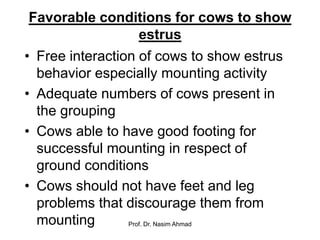 Estrous Signs & Methods of Detection.ppt