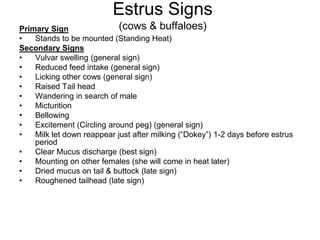 Estrous Signs & Methods of Detection.ppt
