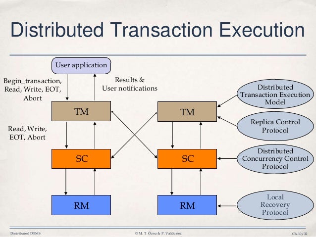 Database 10 Transactions