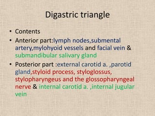 Digastric Triangle Ppt