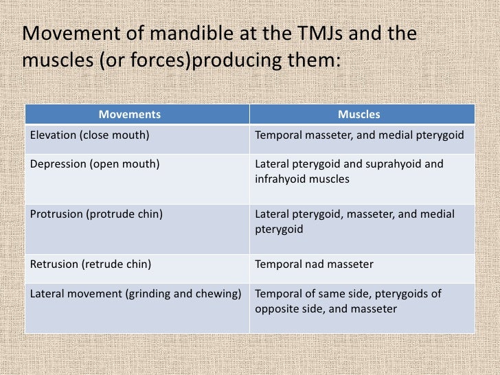10. triangles of neck, tmj & applied anatomy[1]
