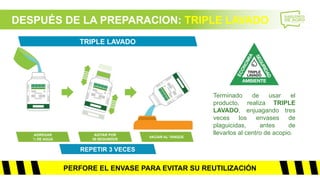 10-TRIPLE LAVADO DE ENVASES RIGIDOS DE PQUA.pptx