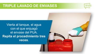 10-TRIPLE LAVADO DE ENVASES RIGIDOS DE PQUA.pptx