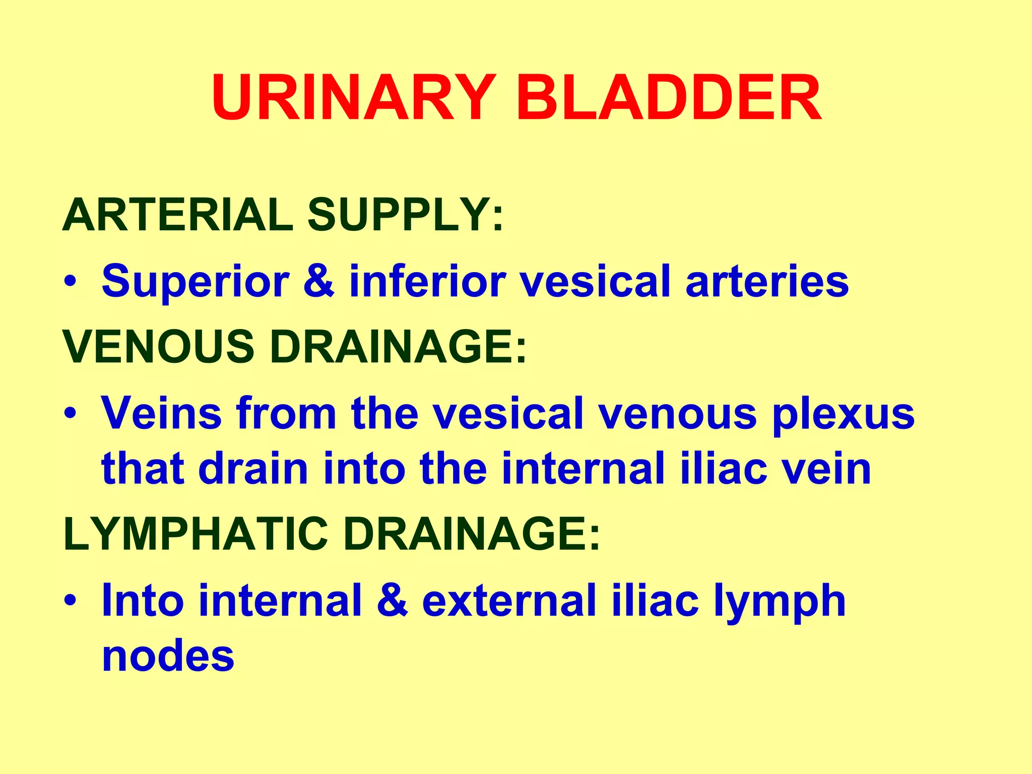 10-Urinary bladder.pptx