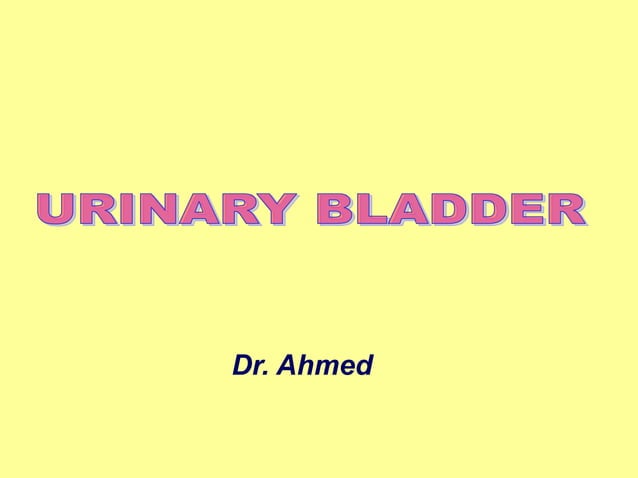10-Urinary bladder.pptx
