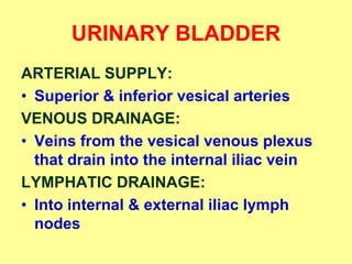 10-Urinary bladder.pptx