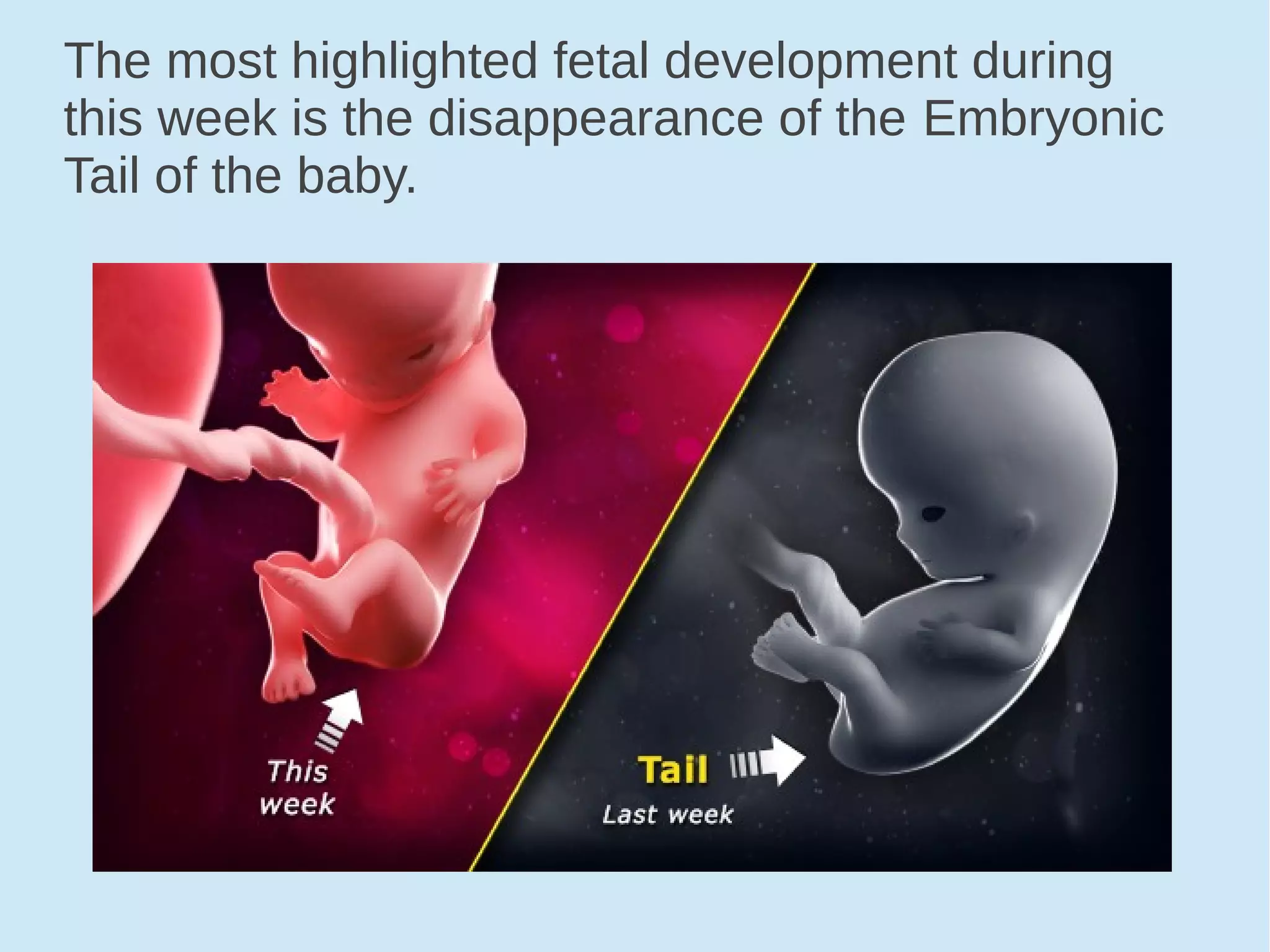10 Weeks Pregnant: What to Expect | Pregnancy Week By Week | ODP ...