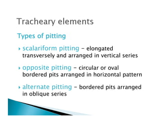 Lesson 10 bio101 (c)Dr. Evangelista | PDF