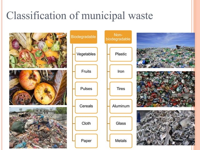 disposal of solid waste | PPT