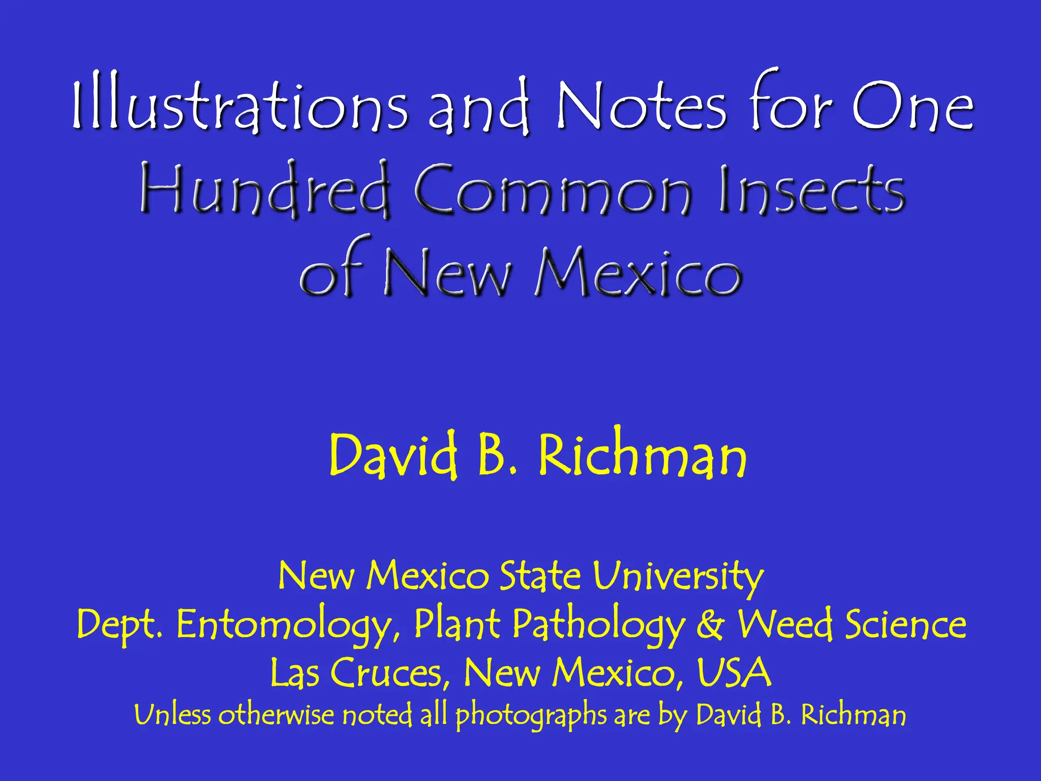 100-common-insects-presentation.pdfiles. | PPT