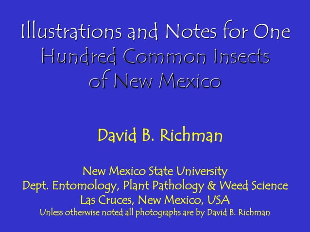 100-common-insects-presentation.pdfiles. | PPT