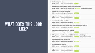 100 Duck-Sized Pull Requests | PPT