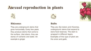 reproduction in plants is vey goof in pp | PPT