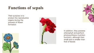 reproduction in plants is vey goof in pp | PPT