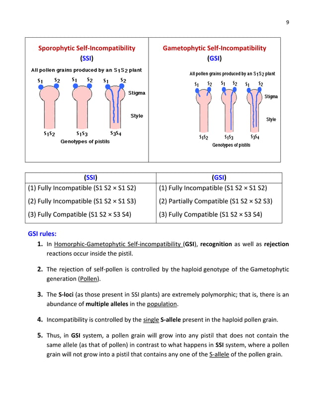 Sexual Incompatibility and its types: MSC BOTANY | PDF | Infertility ...