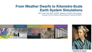 From Weather Dwarfs to Kilometre-Scale Earth System Simulations | PDF
