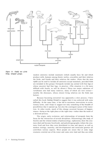 Gaining Ground The Origin And Early Evolution Of Tetrapods Jennifer A ...