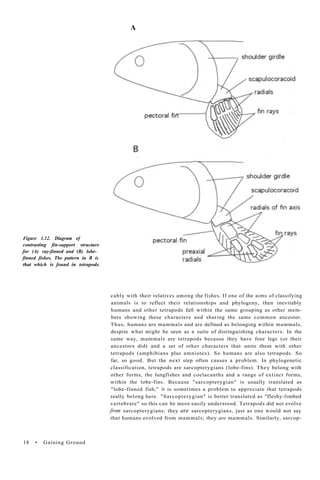 Gaining Ground The Origin And Early Evolution Of Tetrapods Jennifer A ...
