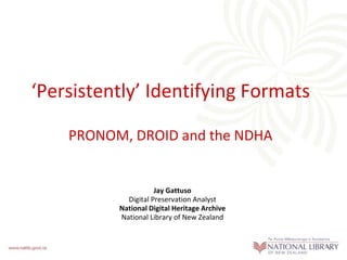 Jay Gattuso Persistently Identifying Formats | PPTX