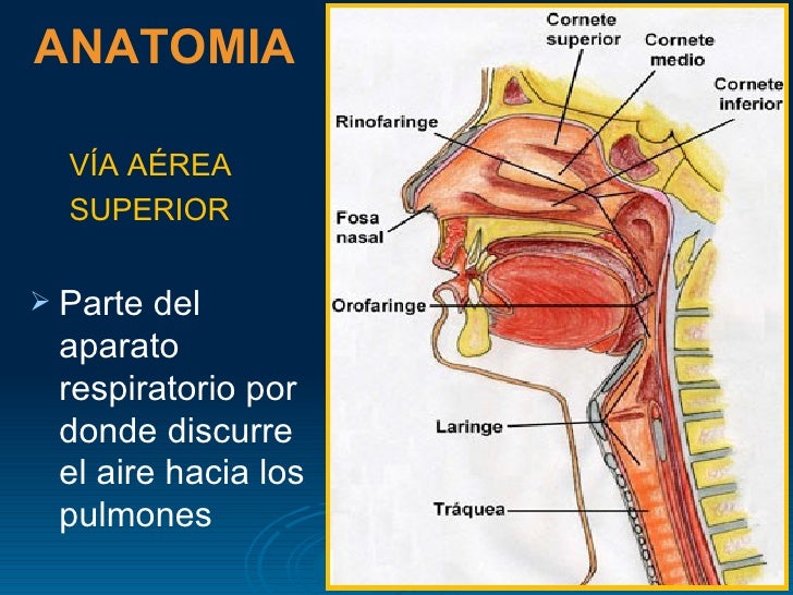 Cuidado enfermero en la vía aérea artificial - CICAT-SALUD