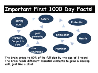 1000 days converted | PDF