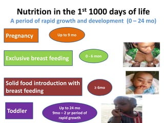 1000 days Nutrition.pptxwhochgwhhhwhht2hg | PPT