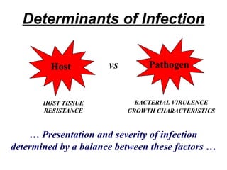 1000 May.ppt for nursing students necrotizing soft tissue infection | PPT