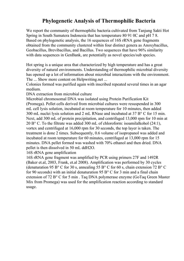 1000 Word Essay Example.pdf