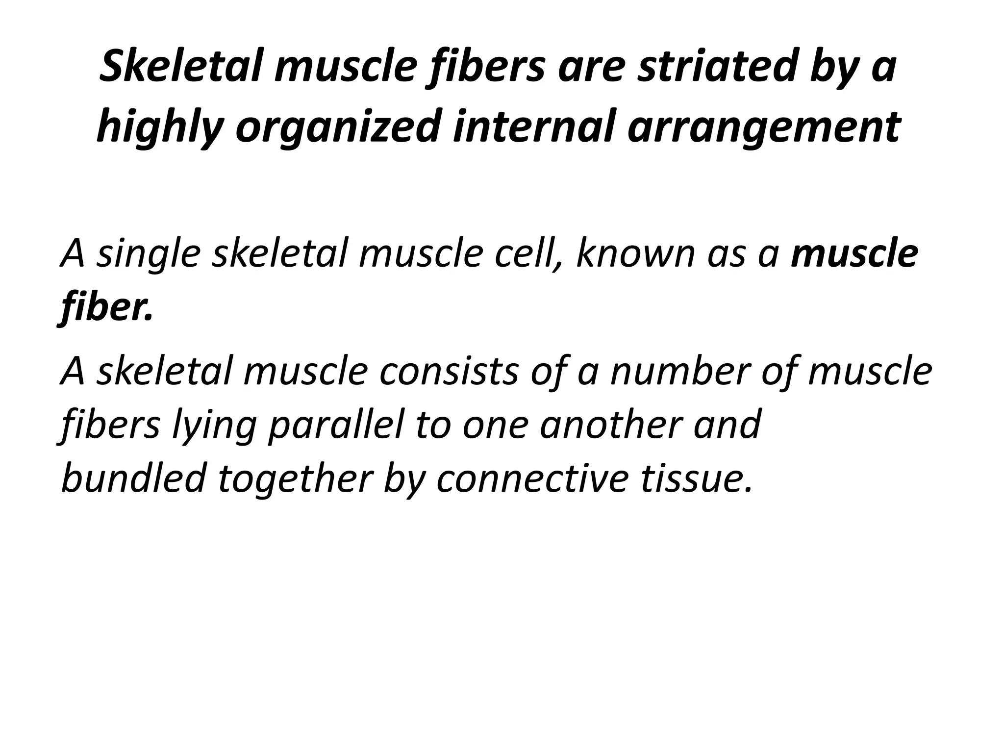 1001105_Muscle physiology.ppt