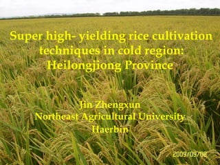 1002 Super high- yielding rice cultivation techniques in cold region ...