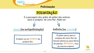 mecanismo de reprodução das plantas com flor.pptx