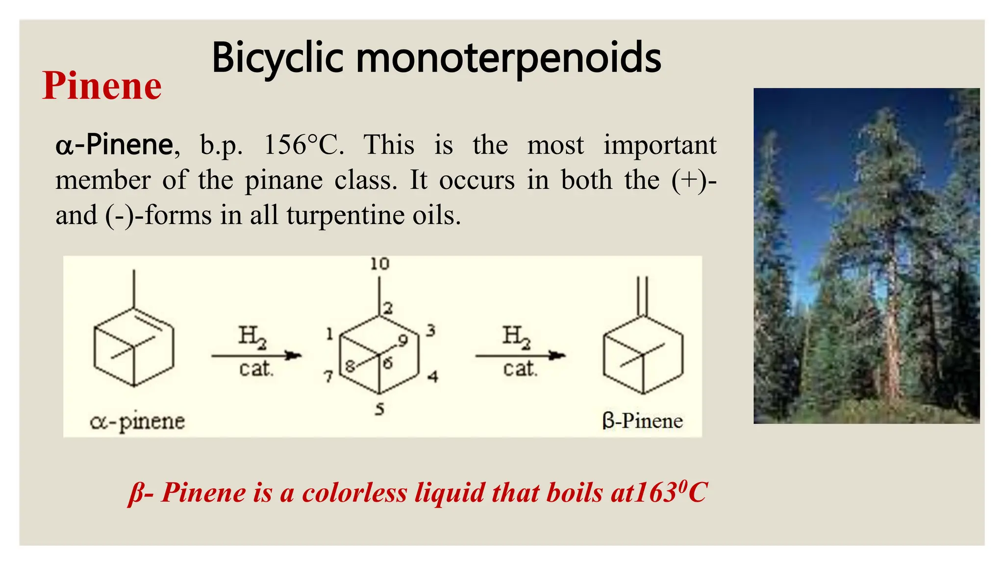 Chemistry of natural products.ppt